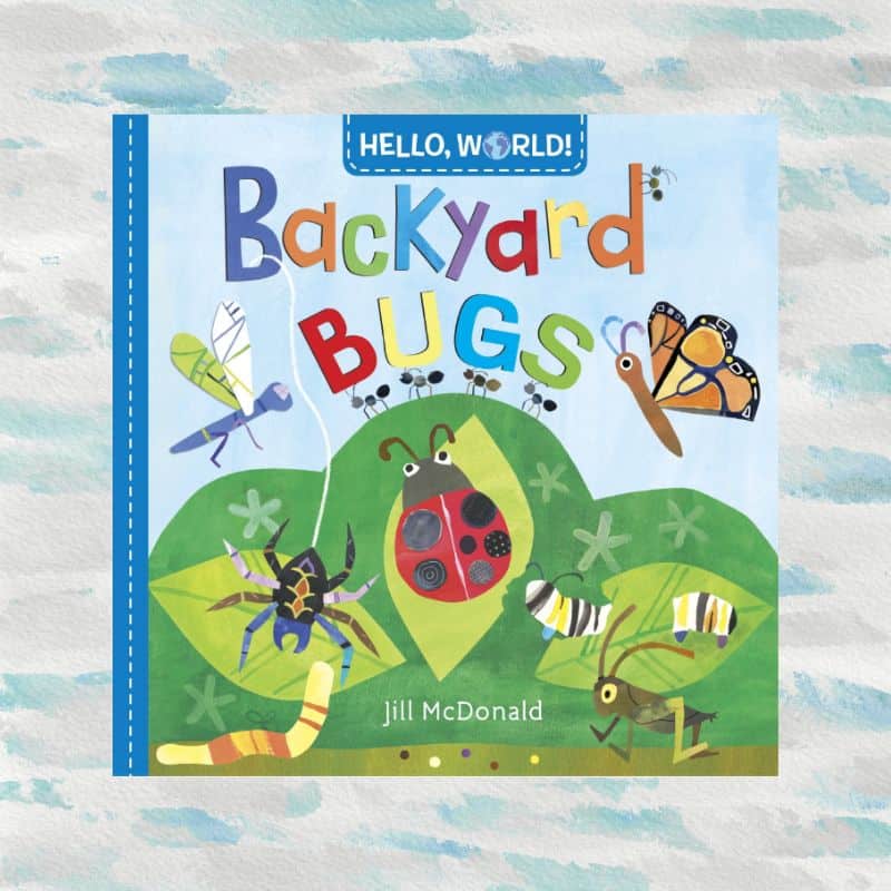 Ultimate List: 30 Best Bug Books for Kids | Bug Book Activities