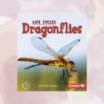 15 Best Dragonflies Books for Children: Stories & Nonfiction