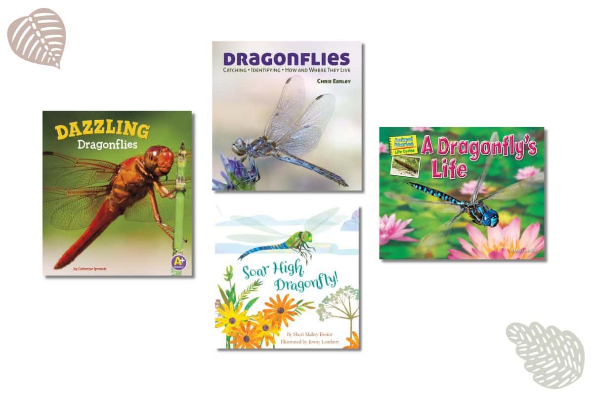From Ponds to Pages: The Best Dragonfly Books for Kids